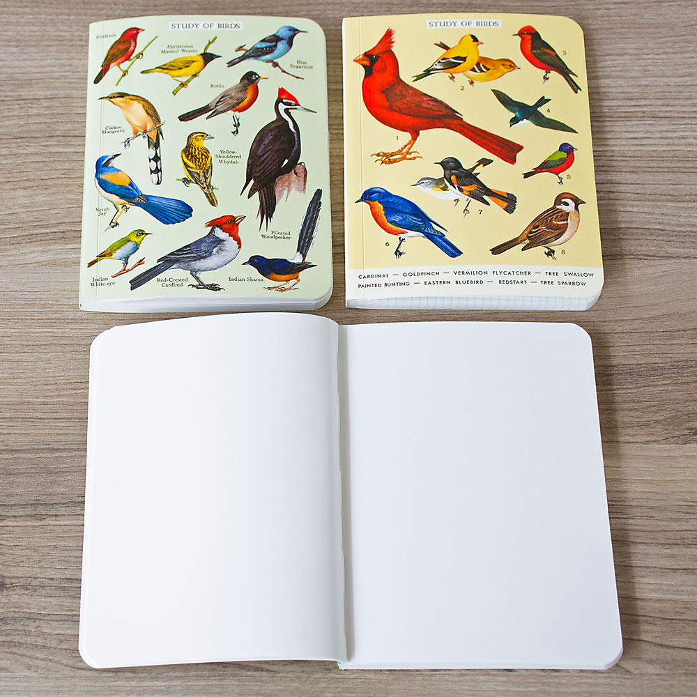 Study of Birds Mini Notebook Trio - Standard Shipping Included | White ...