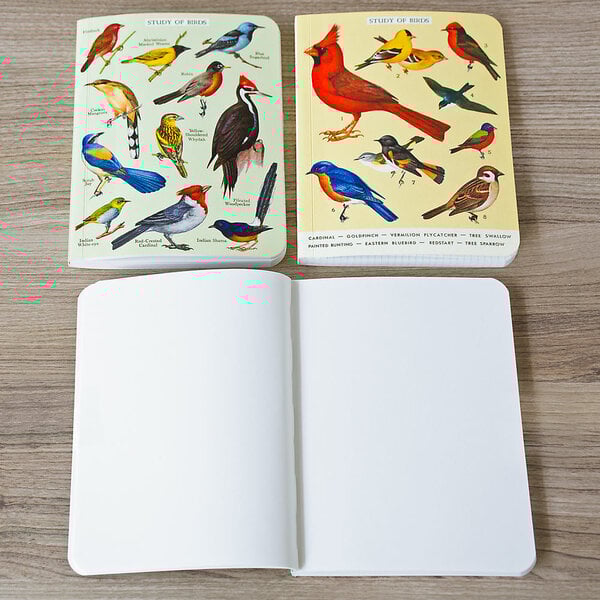 Study of Birds Mini Notebook Trio - Standard Shipping Included | White ...