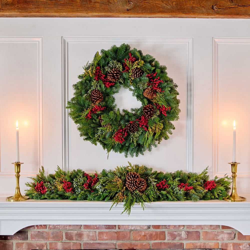 Canella Berry Collection | White Flower Farm