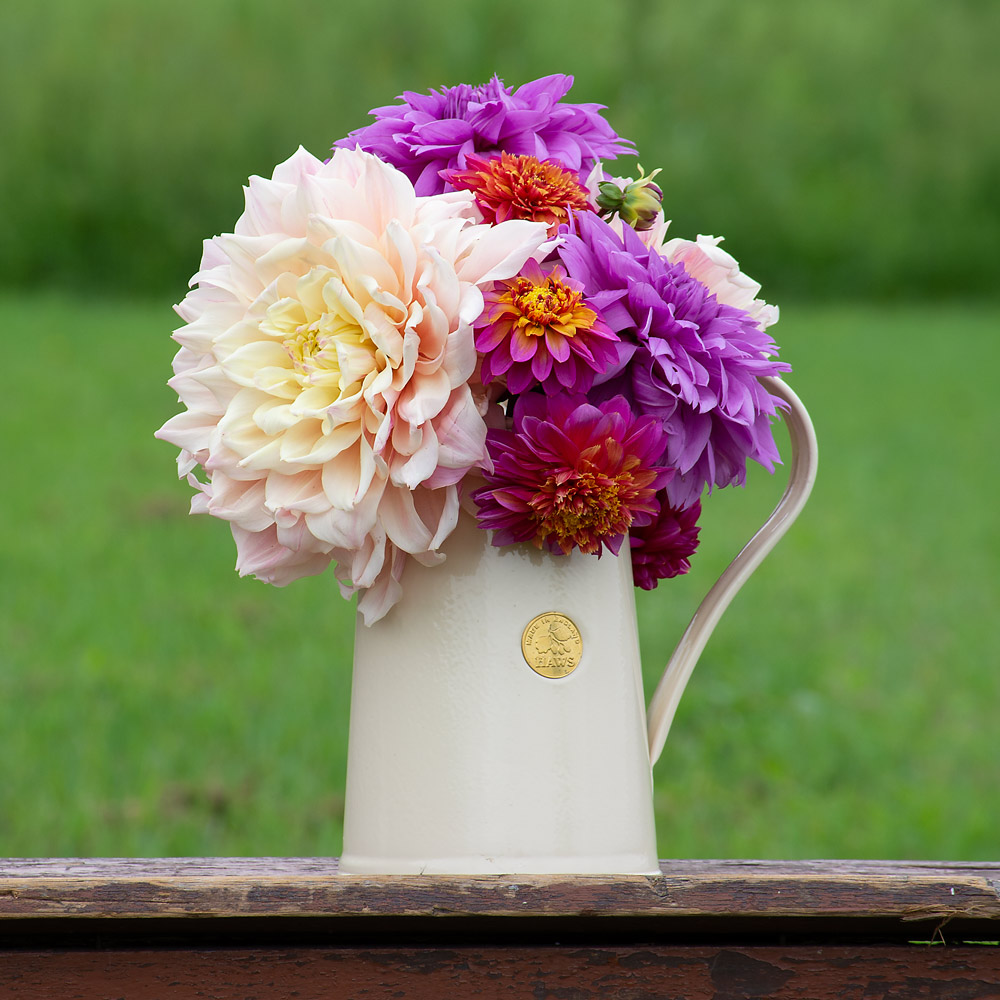 Haws Flower Pitcher | White Flower Farm