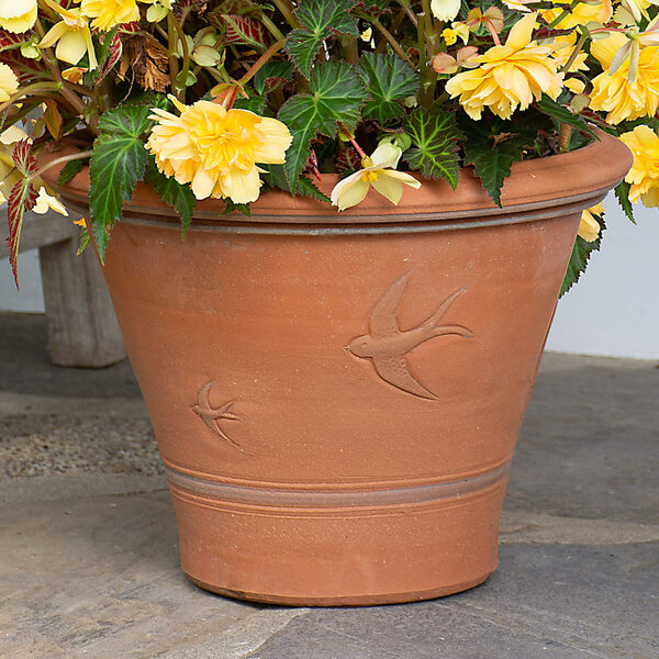 Whichford Swallow Pot | White Flower Farm