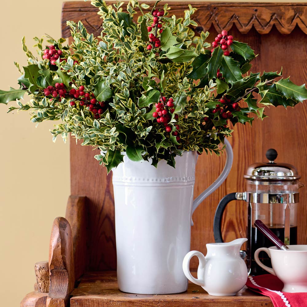 Beaded Band White Pitcher | White Flower Farm