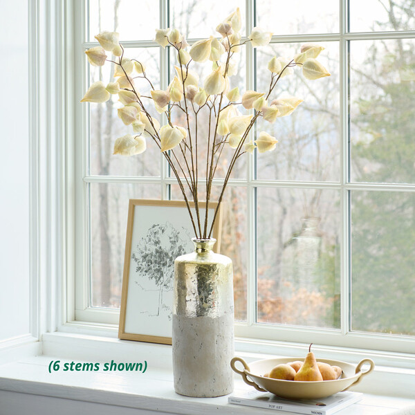 Chinese Lantern Pod Faux Stems | White Flower Farm