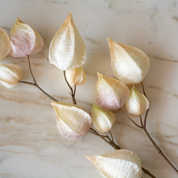Chinese Lantern Pod Faux Stems | White Flower Farm