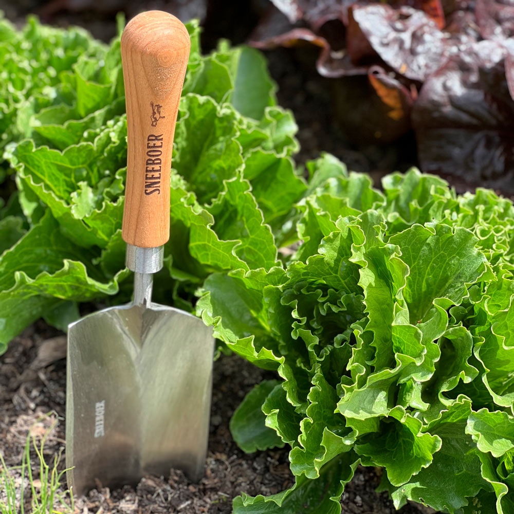 Sneeboer Transplanting Trowel Half-Round | White Flower Farm
