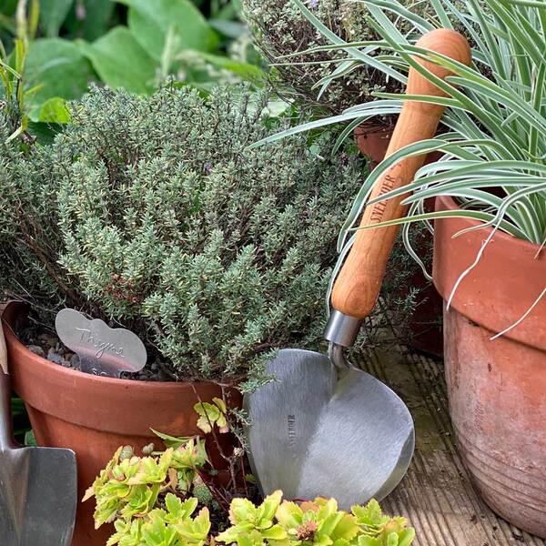 Sneeboer Dutch-Style Trowel | White Flower Farm