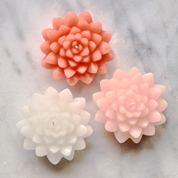 Blossom Candles Trio | White Flower Farm