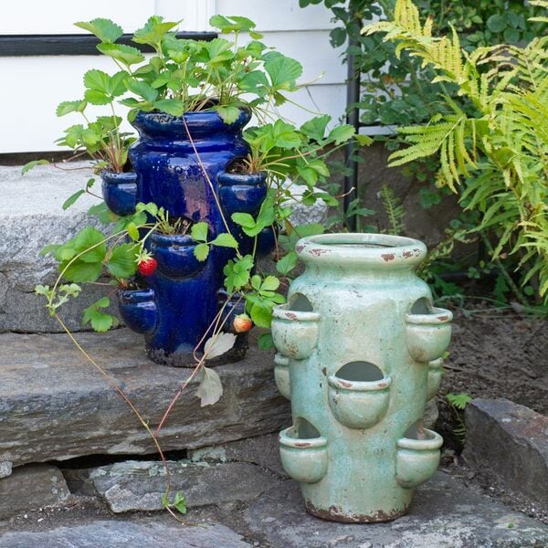 Glazed Ceramic 10-Pocket Strawberry Jar | White Flower Farm
