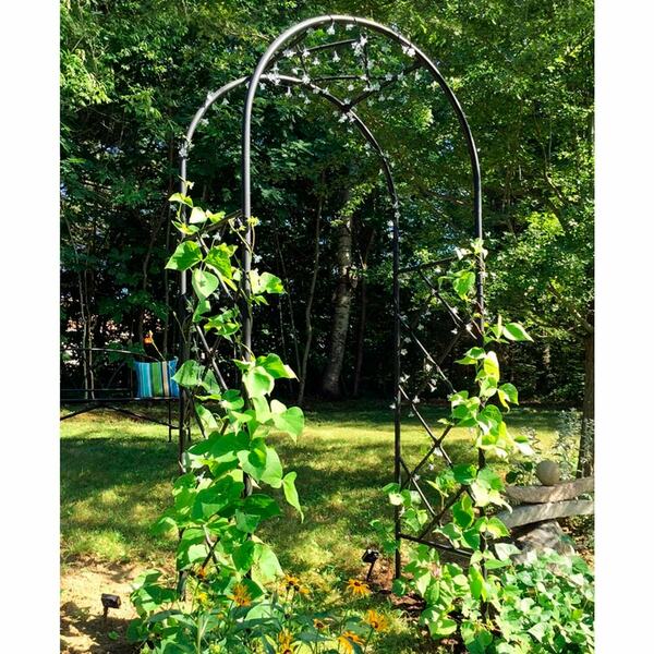 Lattice Arch | White Flower Farm