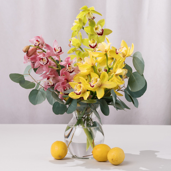 Trio of Cymbidiums Bouquet by Semia | White Flower Farm