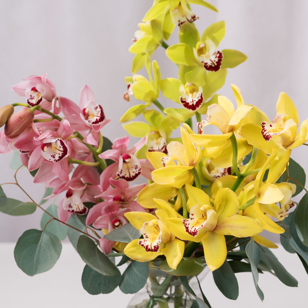 Trio of Cymbidiums Bouquet by Semia | White Flower Farm