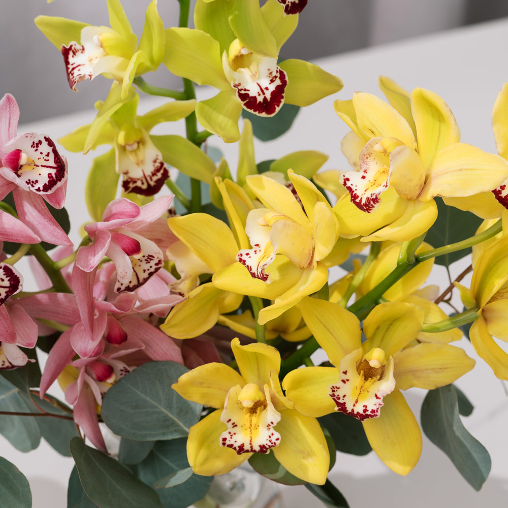 Trio of Cymbidiums Bouquet by Semia | White Flower Farm