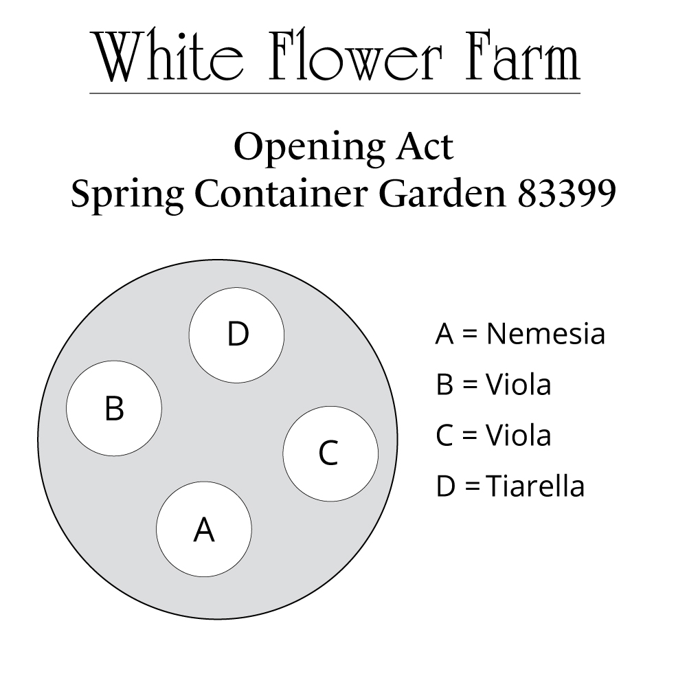 Opening Act Spring Container Garden | White Flower Farm