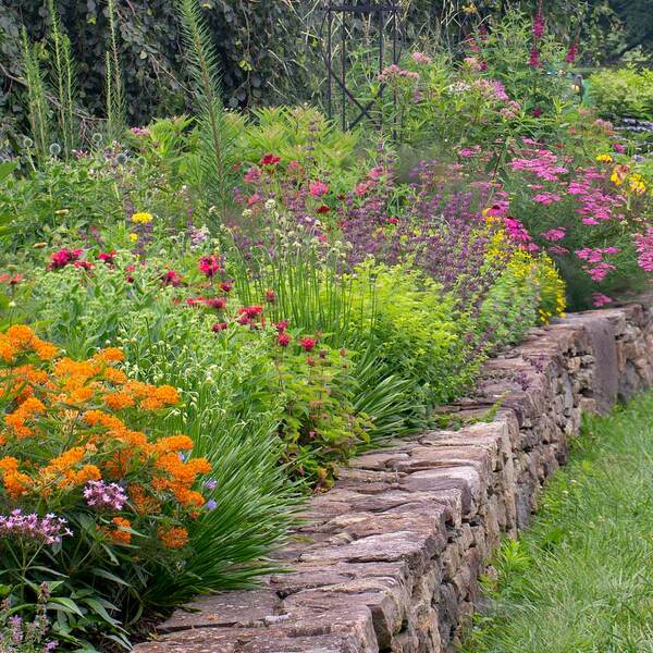 ColorBlock Garden Design with Elizabeth Dudley | White Flower Farm