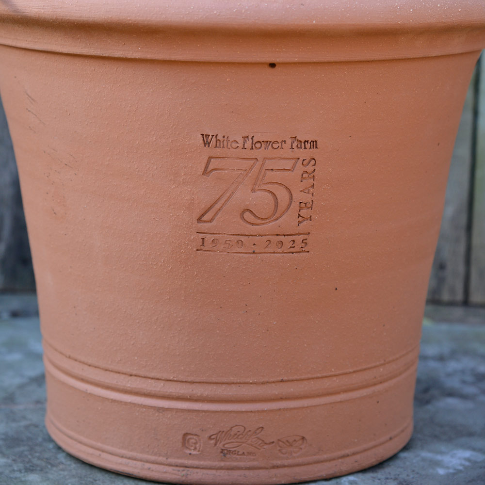 White Flower Farm 75th Anniversary Pot by Whichford | White Flower Farm
