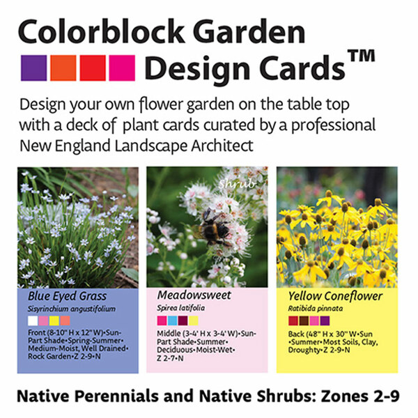 ColorBlock Garden Design with Elizabeth Dudley | White Flower Farm
