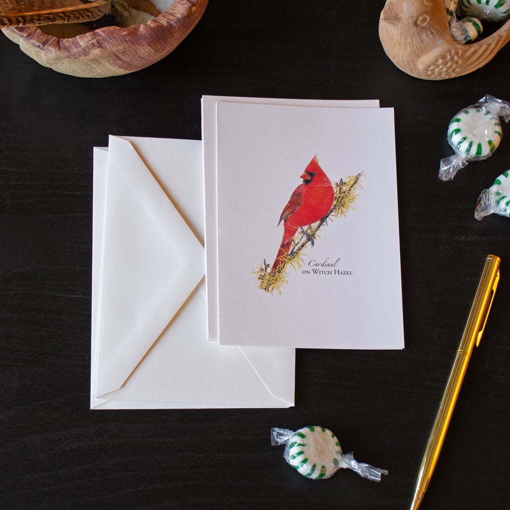 Cardinal on Witch Hazel Note Cards, Set of 8 | White Flower Farm