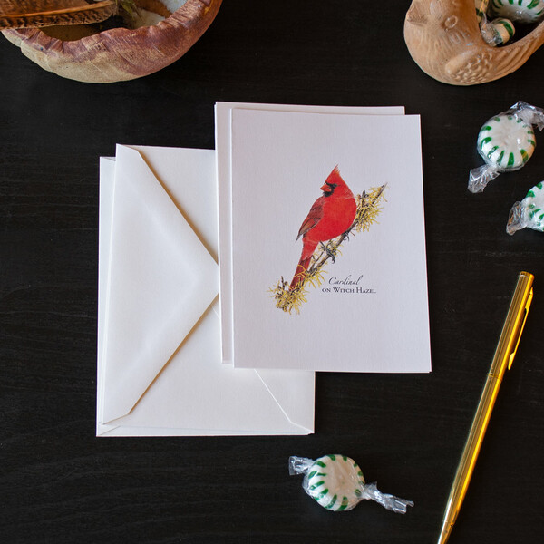 Cardinal on Witch Hazel Note Cards, Set of 8 | White Flower Farm