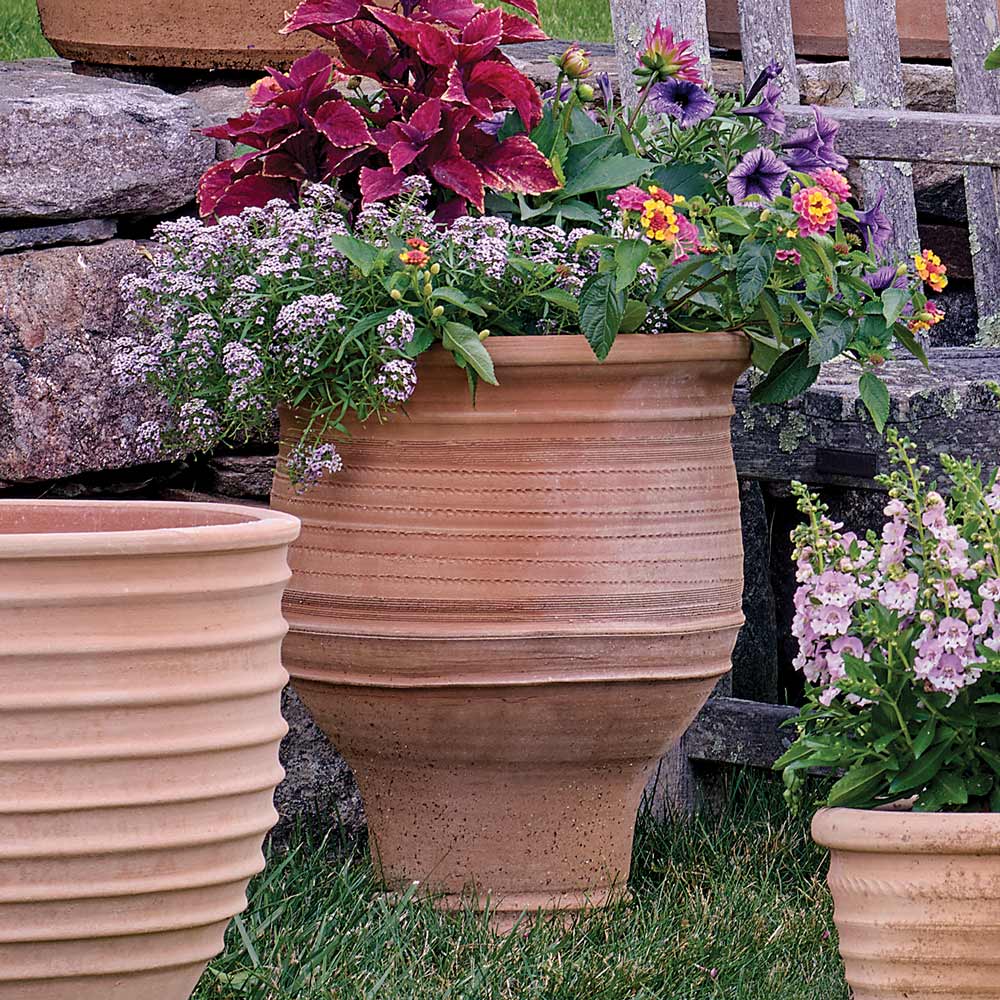 Cretan Pot Kion | White Flower Farm