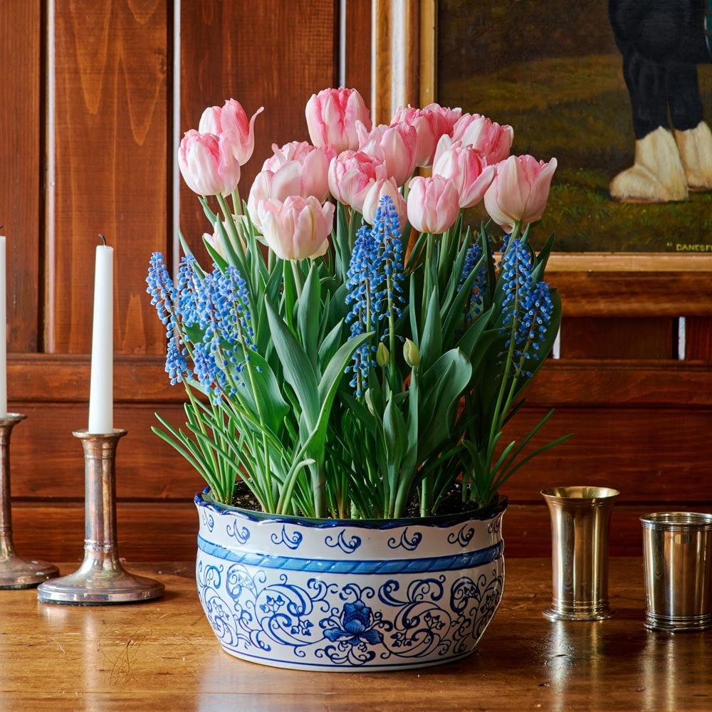 Two for Tea Bulb Garden in large ceramic bowl | White Flower Farm