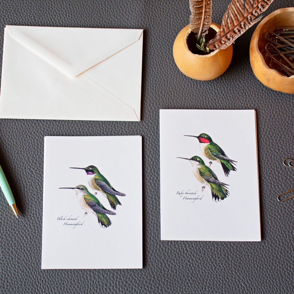 Hummingbird Pairs Note Cards, Set of 8 | White Flower Farm