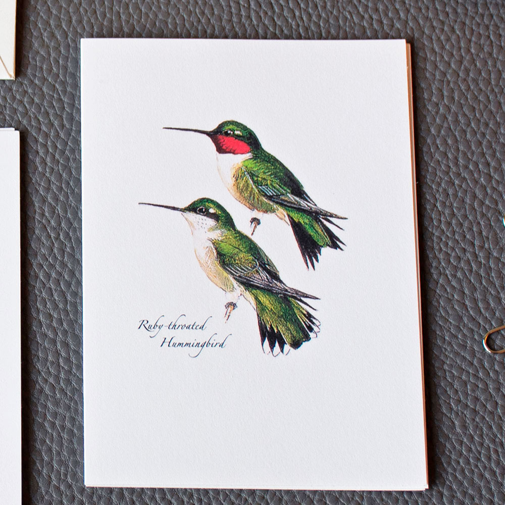 Hummingbird Pairs Note Cards, Set of 8 | White Flower Farm