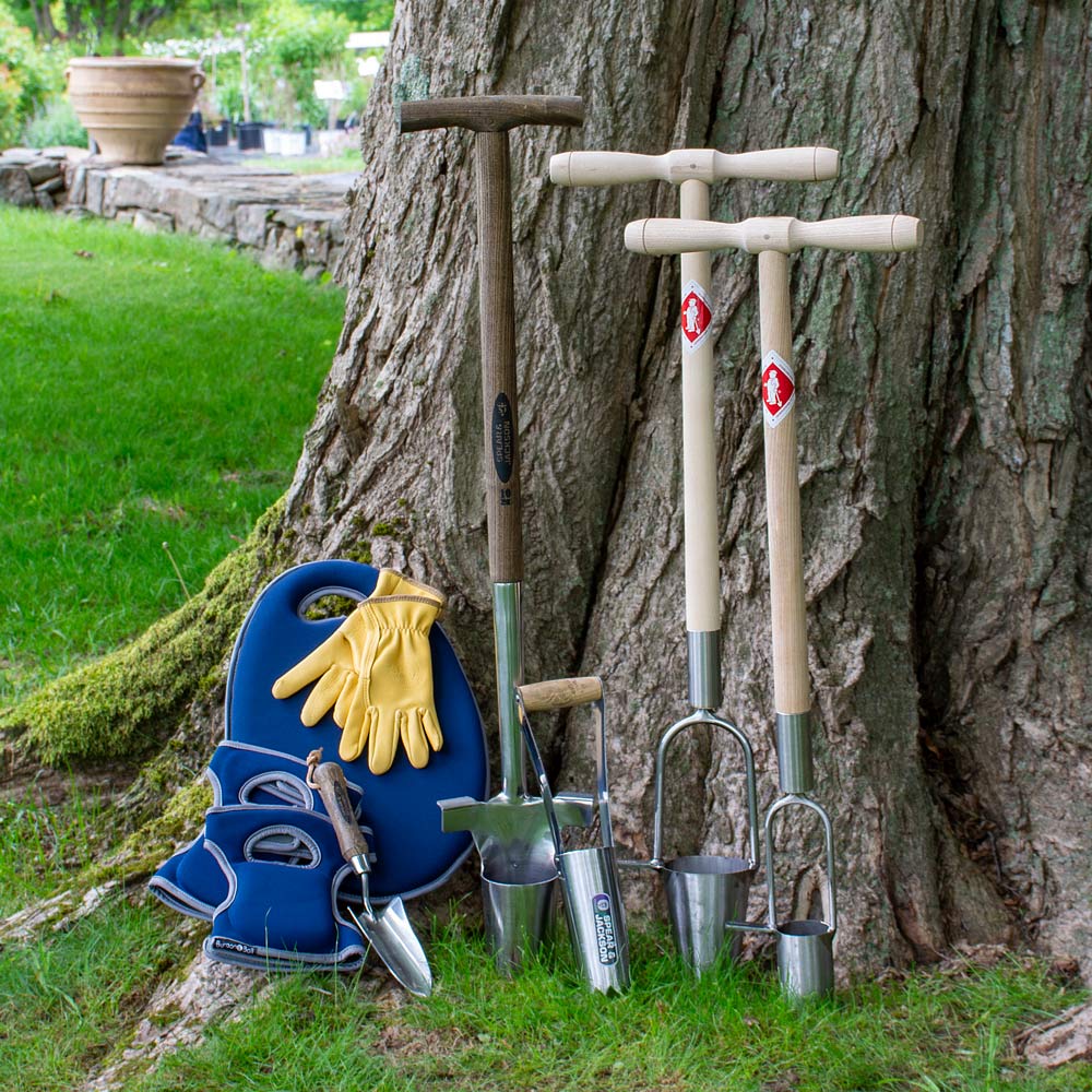 Tools for Bulbs Planting | White Flower Farm