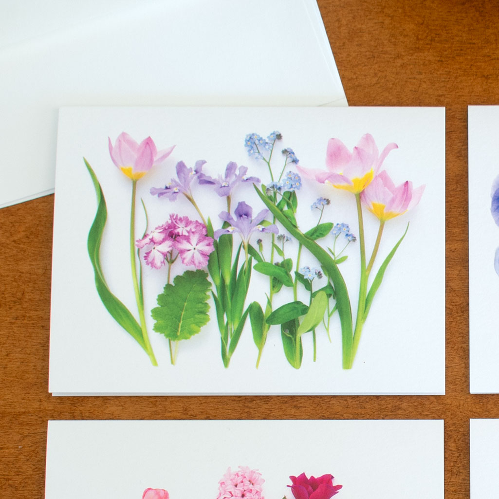 Pastel Spring Flowers Note Cards, Set of 8 | White Flower Farm
