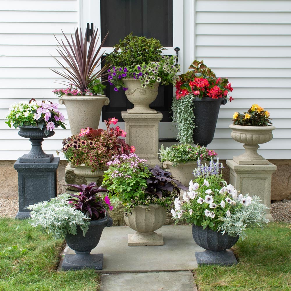 blooming planters