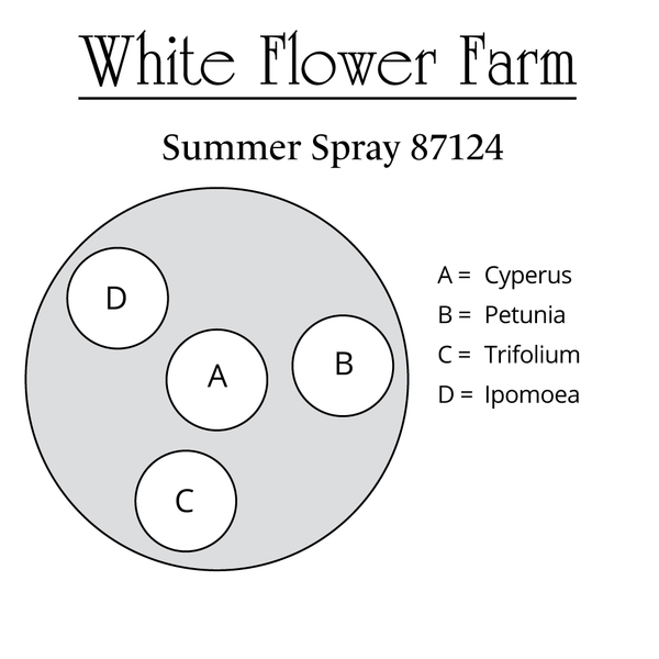 Summer Spray Container Garden | White Flower Farm