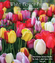 Our Catalogs | White Flower Farm