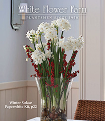 Landscape Plugs™ | White Flower Farm