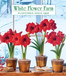 Catalog Request | White Flower Farm